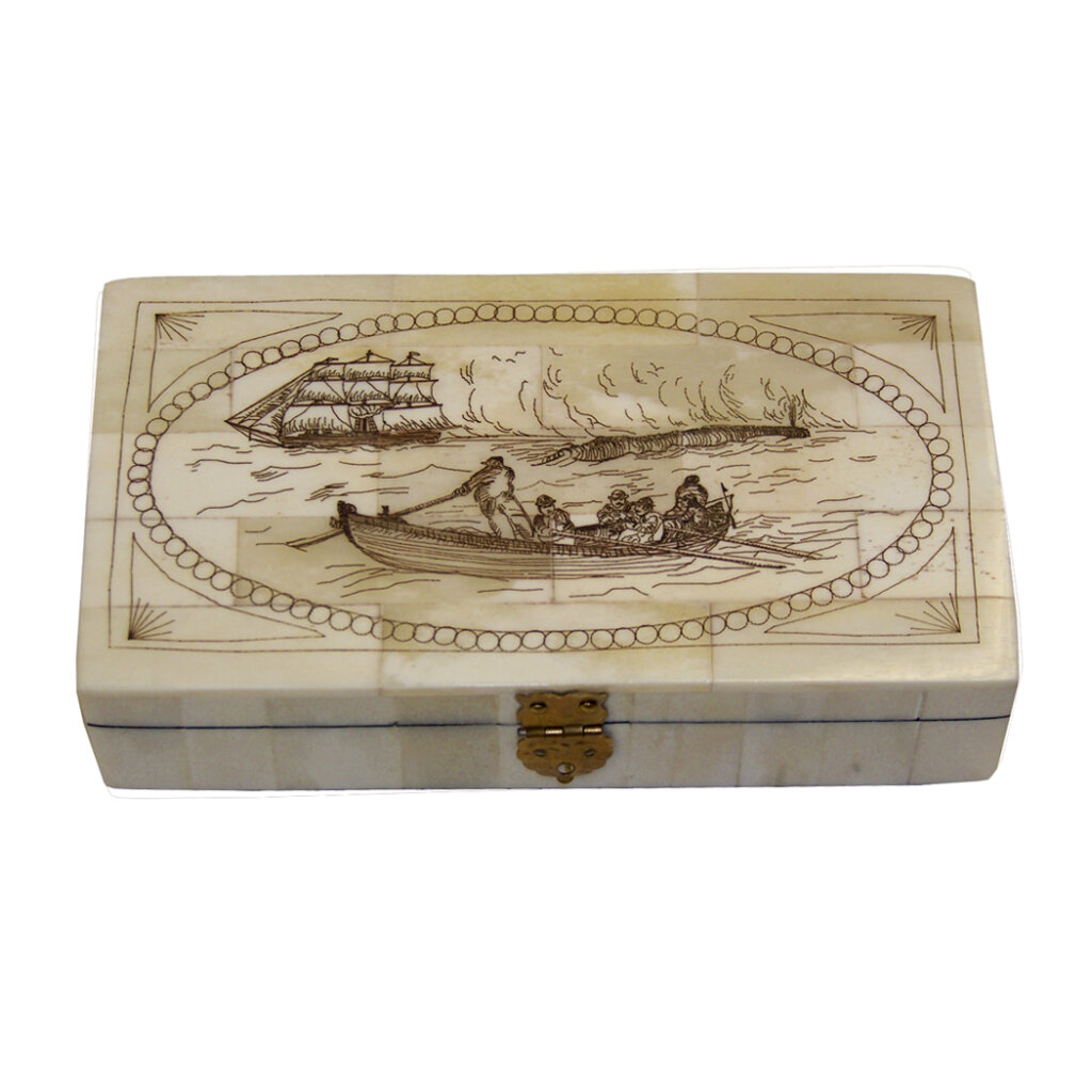 6-1/4″ Hunting Fin Back Whales Scrimshaw Bone Box – Madison Bay Company